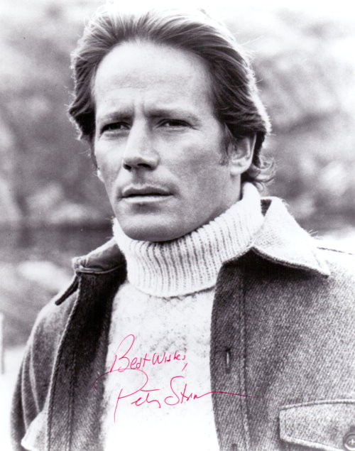 Starcollector - Alle in dieser Galerie gezeigten Teile sind käuflich zu erwerben. Sende uns ...